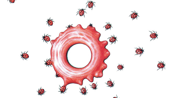 Calvino and the Codex Seraphinianus: A Psychedelic Mystery | Blue ...